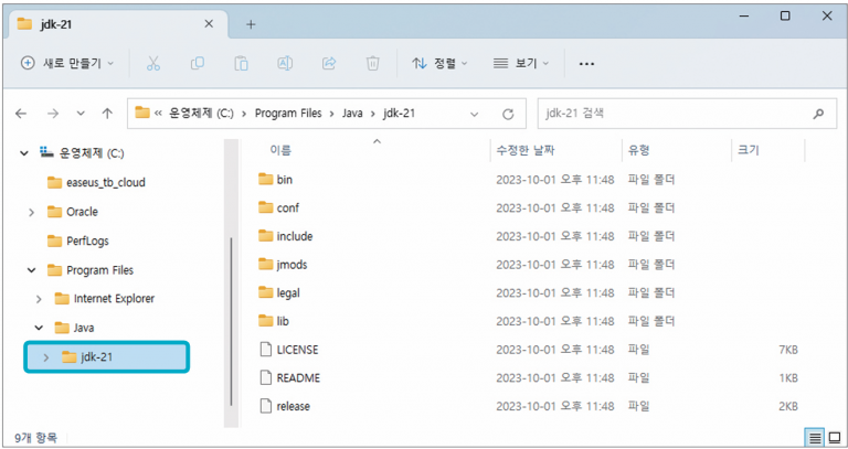 Java 자바 개발 도구 설치 Oracle Jdk 21
